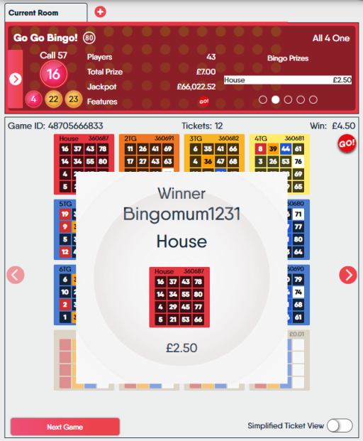 Go Go Bingo | What You Need To Know